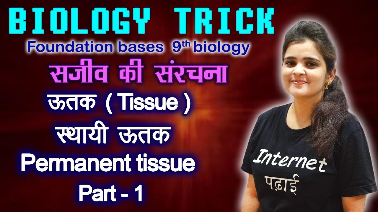 Tissue What Is Tissue In Biology What Do You Mean By Tissue tissue-what-is-tissue-in-biology-what-do-you-mean-by-tissue