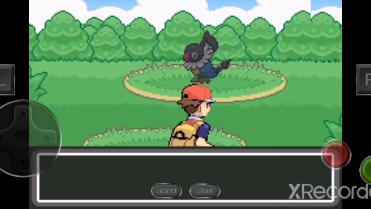 Fiz quase nada :'( Pokemon Extreme Red #4 - YouTube