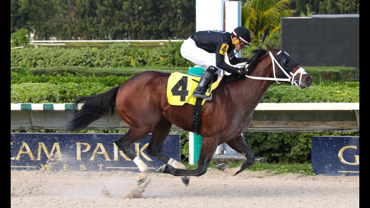 GP West Resumen - 16 de Noviembre 2019 - YouTube