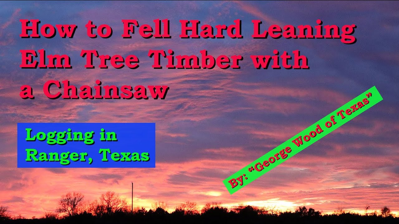 How to Fell Hard Leaning Elm Tree Timber with a Chainsaw in Ranger, Tx ...