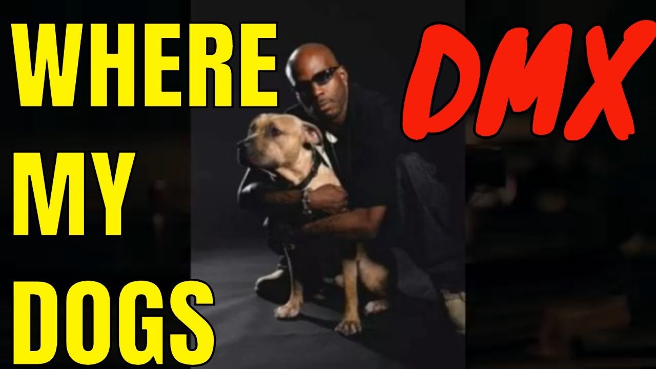 WHERE MY DOGS! DMX & His Obsession With Dogs #reaction #video #doc ...