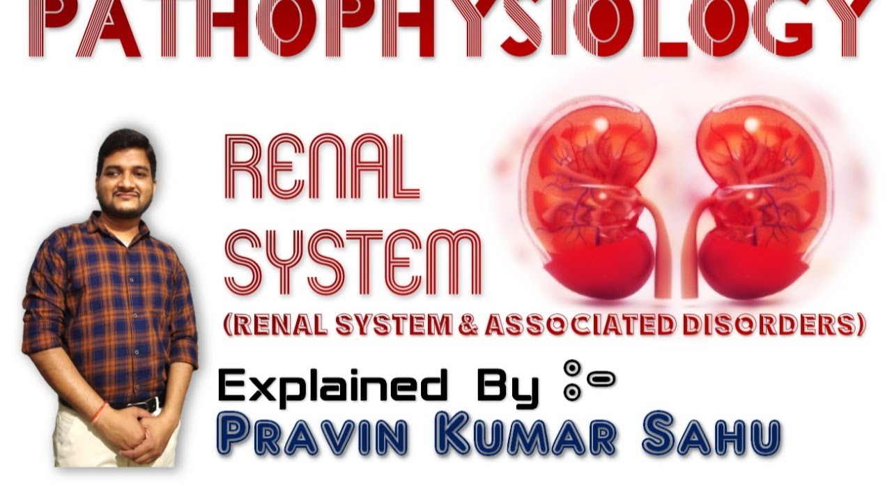 Renal System Pathophysiology | New Online Classes | Pravin Sahu - YouTube