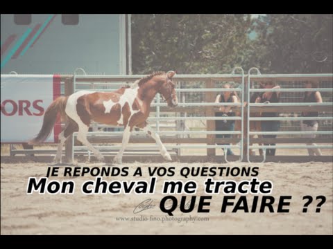 JRAVQ : Mon cheval me tracte, que faire ?? - YouTube