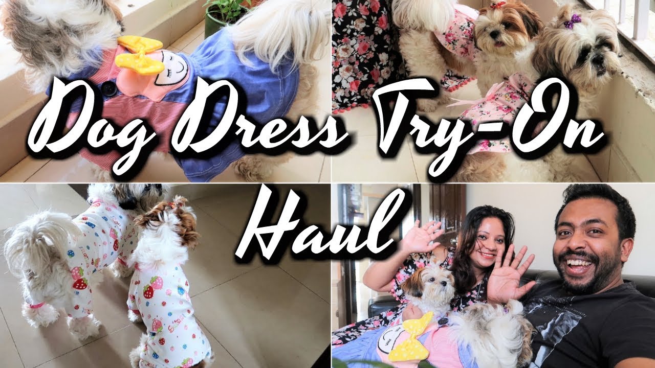Dog Clothing Haul | Pet Dress Haul | Puppy Clothing Haul | Dog Dress ...