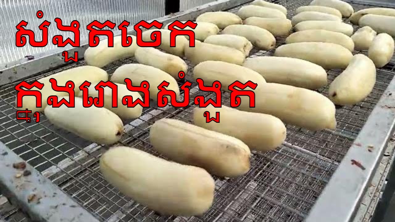 Drying test on banana, 🍌 drying in solar dryer, how to dry mature ...
