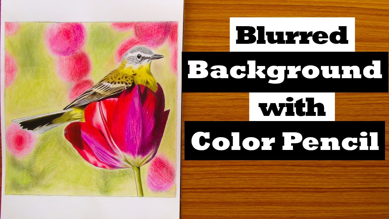 How to do a Blurred Background with Colored Pencils - YouTube
