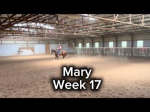 Progress Update on Mary: Week 17 7/5/24 - YouTube