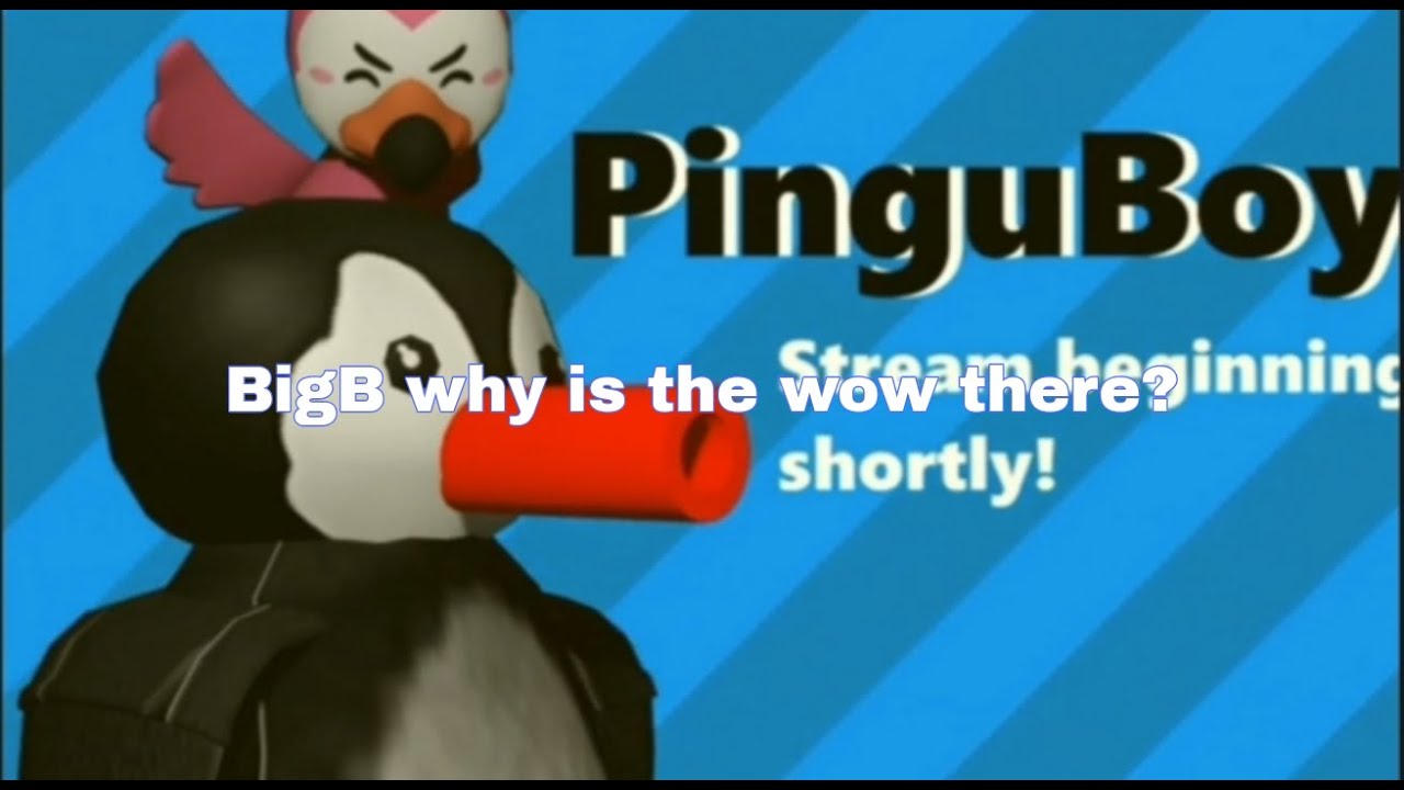 BigB Why Is The Wow There? -Pengtastic 2021 - YouTube