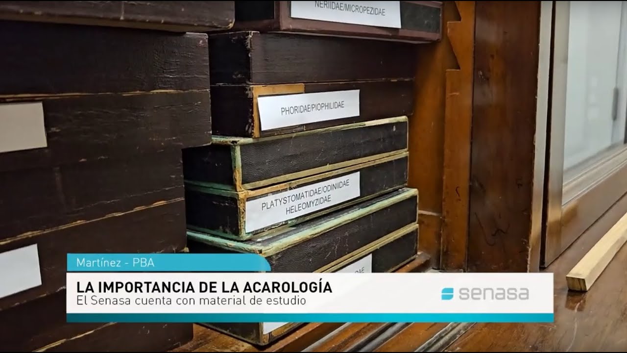 La importancia de la acarología: El Senasa cuenta con material de ...
