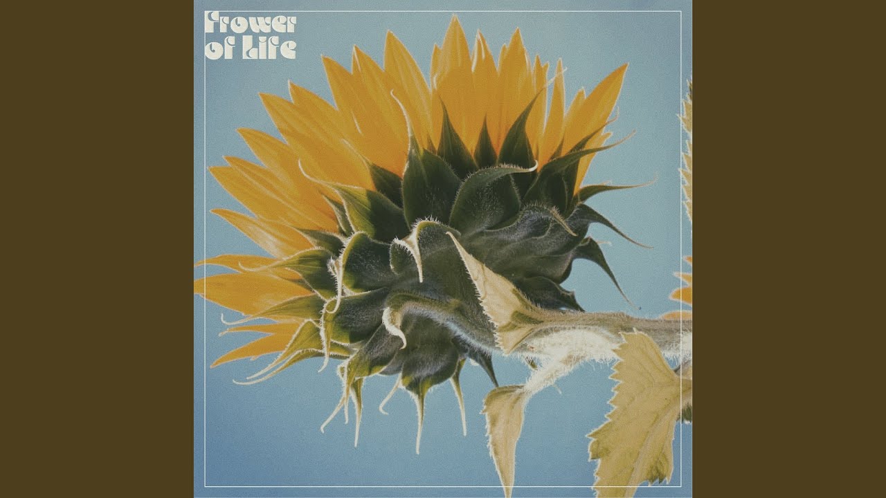 Flower Dance (feat. Mellow Fellow Botanica) - YouTube