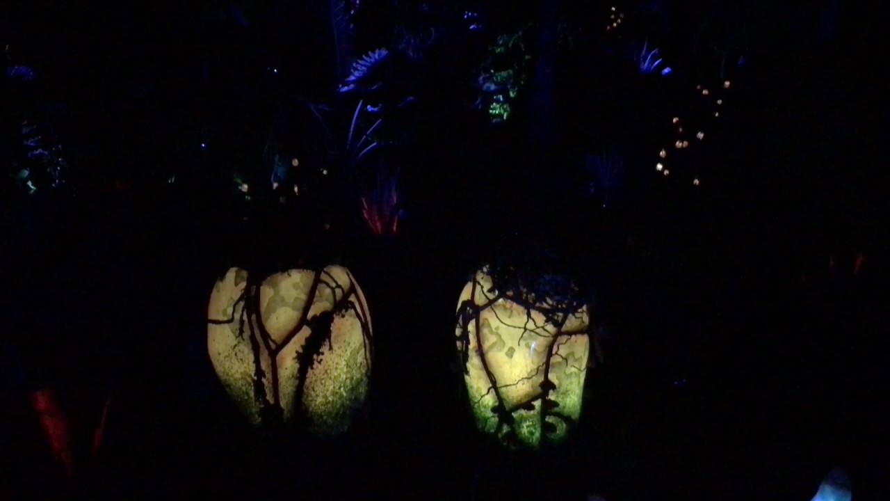 Pandora at Night Highlights - Pandora: The World of AVATAR, Disney's ...