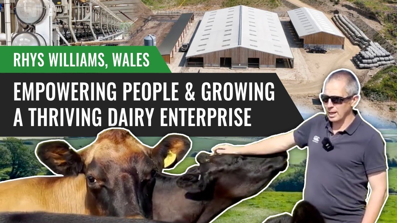 Empowering People and Growing a Thriving Dairy Enterprise: Rhys ...
