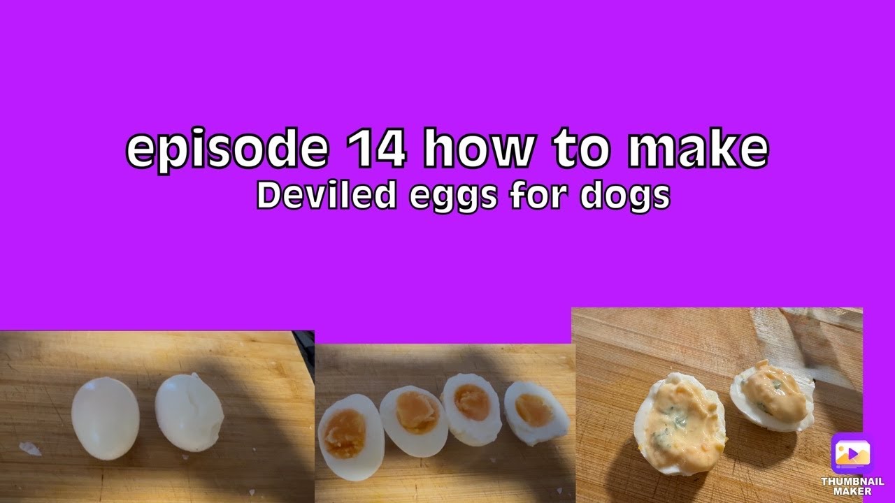 Episode 14 how to make deviled eggs for dogs - YouTube