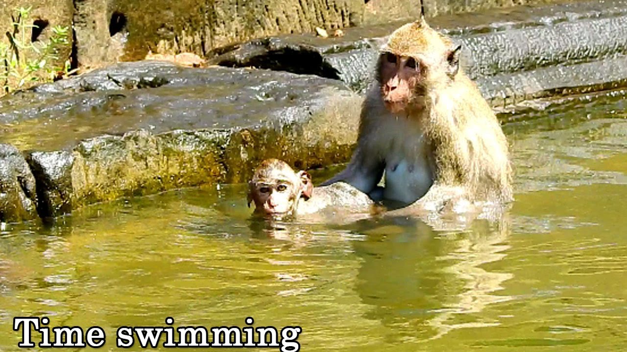 Happy swimming! Poor pregnant Tazana with Janet & Janna go to swimming ...