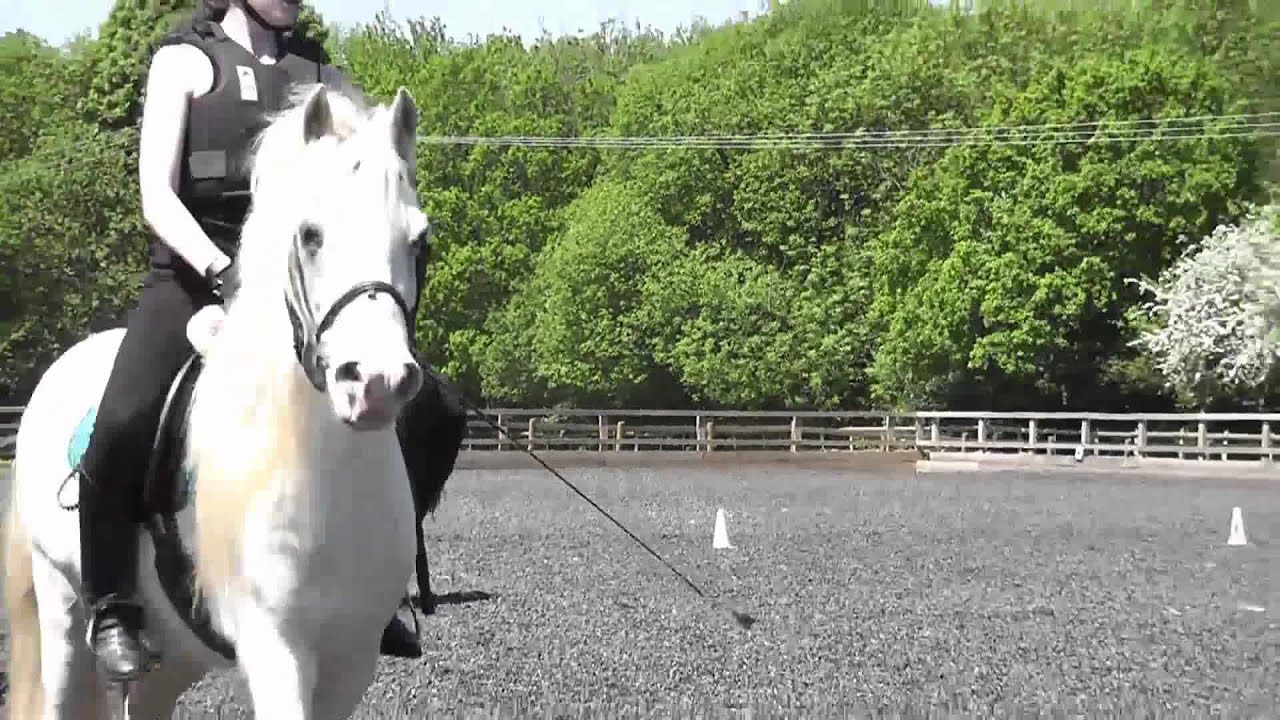 Horse Ride Squirrells Riding School Open Day 2012 - YouTube