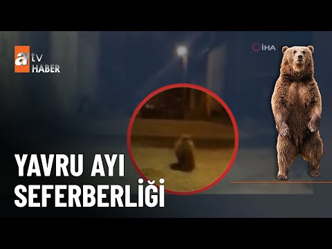 Annesini kaybetti, köye indi - atv Ana Haber 24 Ağustos 2023