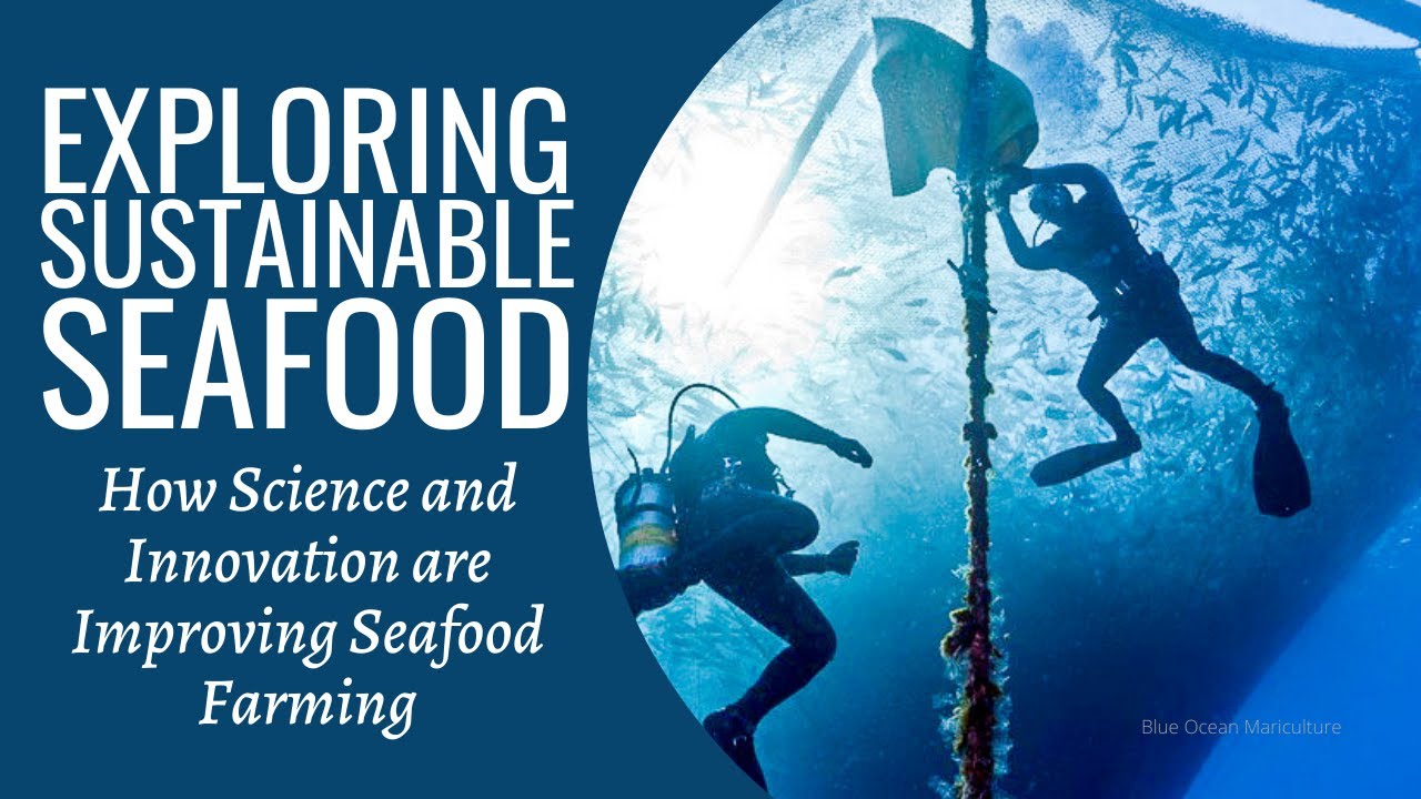 Exploring Sustainable Seafood – Ep9 How Science and Innovation are ...