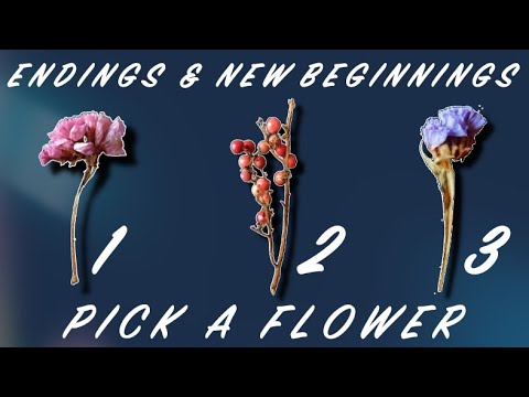 Endings, Transitions and New Beginnings🌷Pick A Flower🌷In-Depth Reading ...