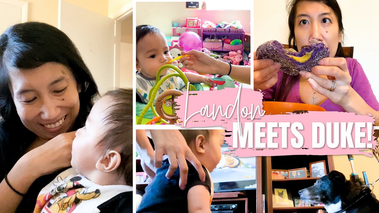 DAY IN THE LIFE OF A SAHM + LANDON MEETS DUKE! - YouTube