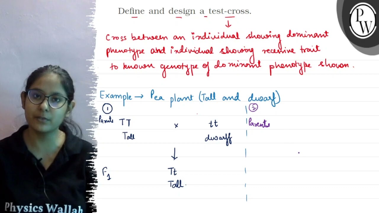 Test Cross Definition