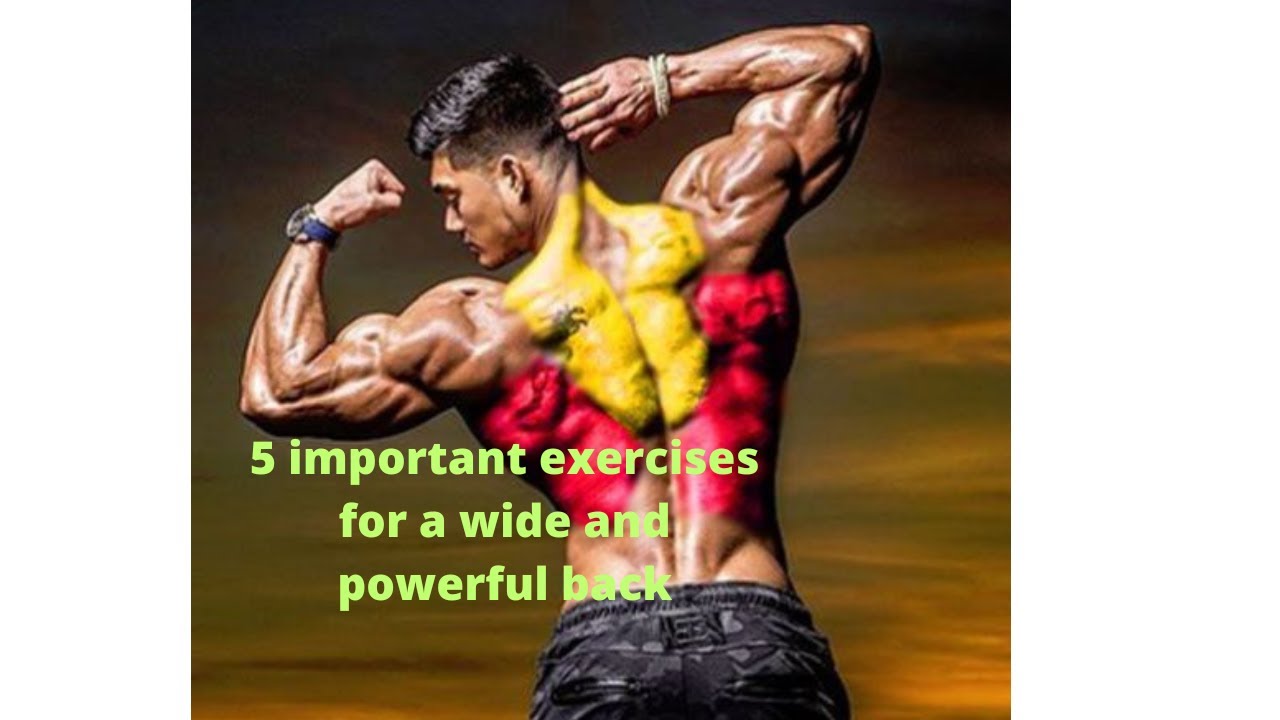 Powerful back - YouTube