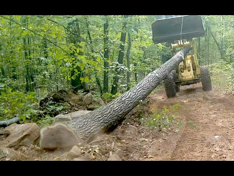 Logging with a wheel loader - YouTube