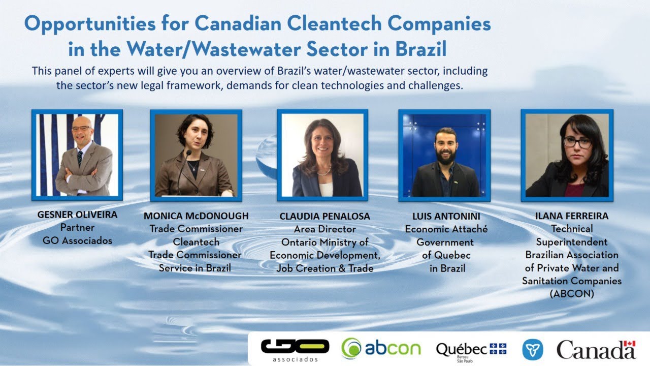 An overview of the Brazilian water & sanitation sector: challenges and ...