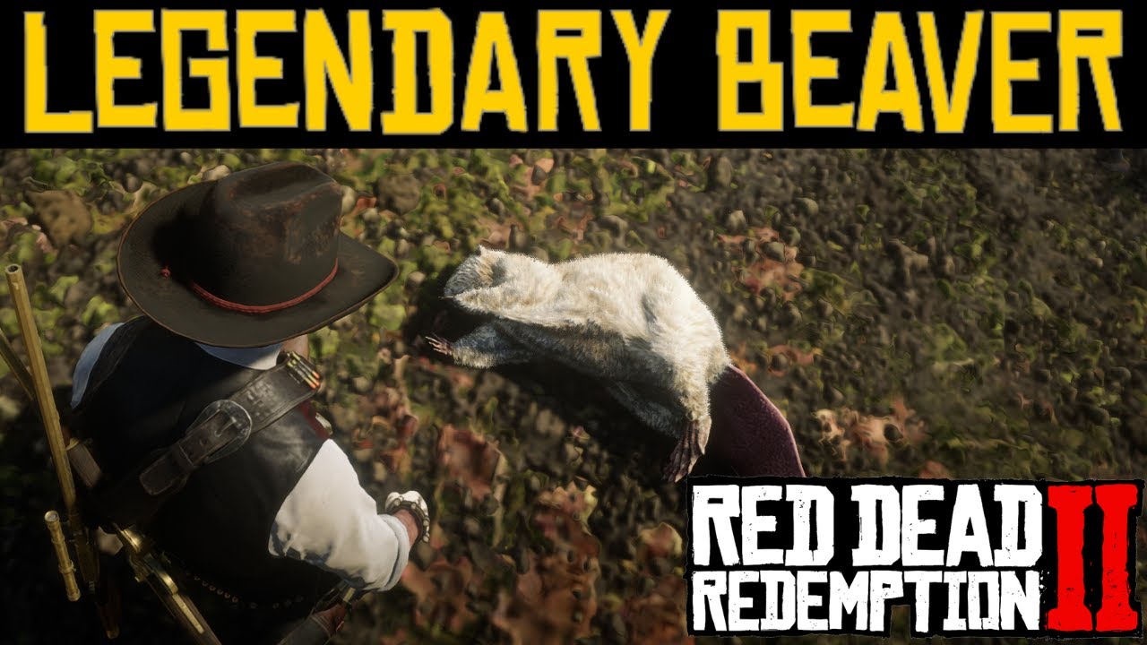 Legendary Beaver | Red Dead Redemption 2 - YouTube