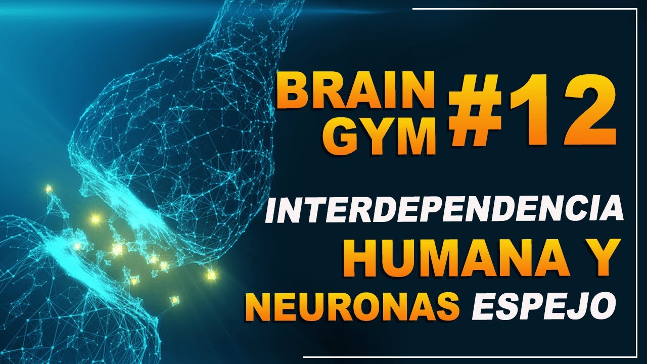 ️ INTERDEPENDENCIA humana y NEURONAS espejo - YouTube