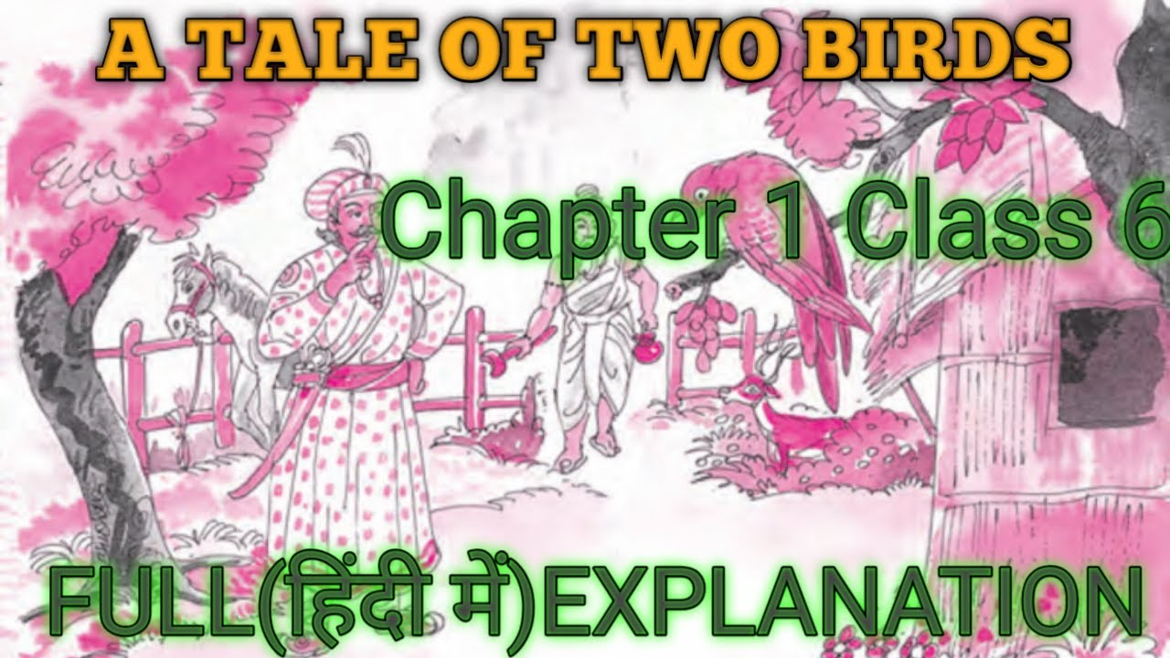 Class 6 A Tale of Two Birds | Chapter 1 | Hindi explanation - YouTube