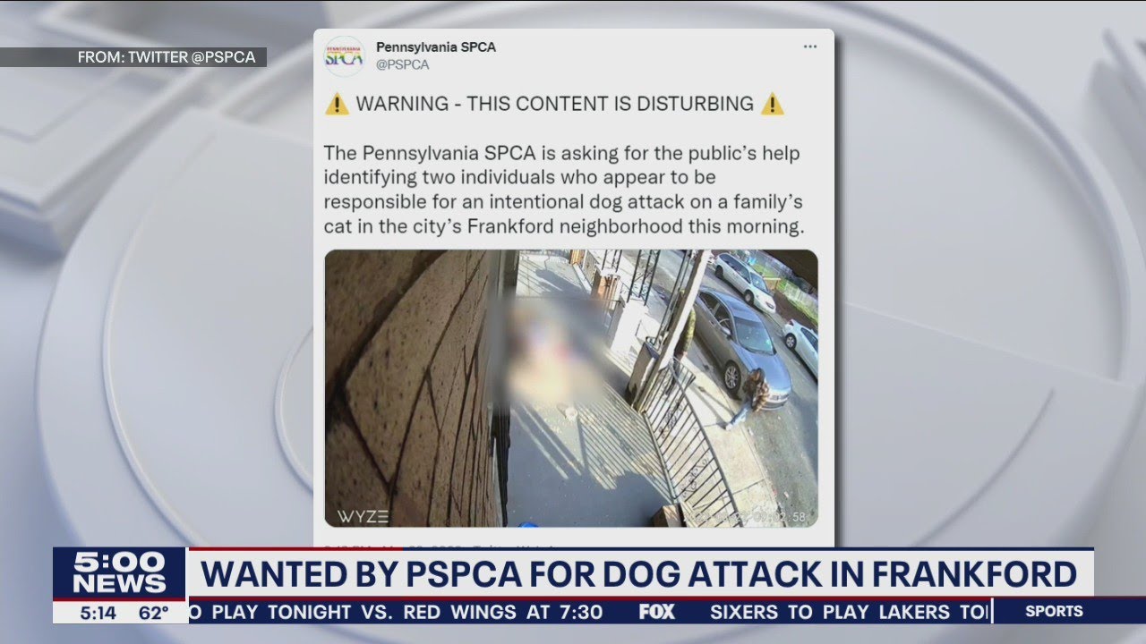 2 wanted for siccing dog on family's cat in Philadelphia, authorities ...