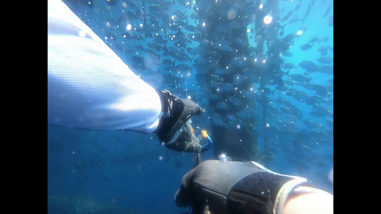Spearfishing with David Joel and Captain Shayne Ellis - Freeport, TX ...