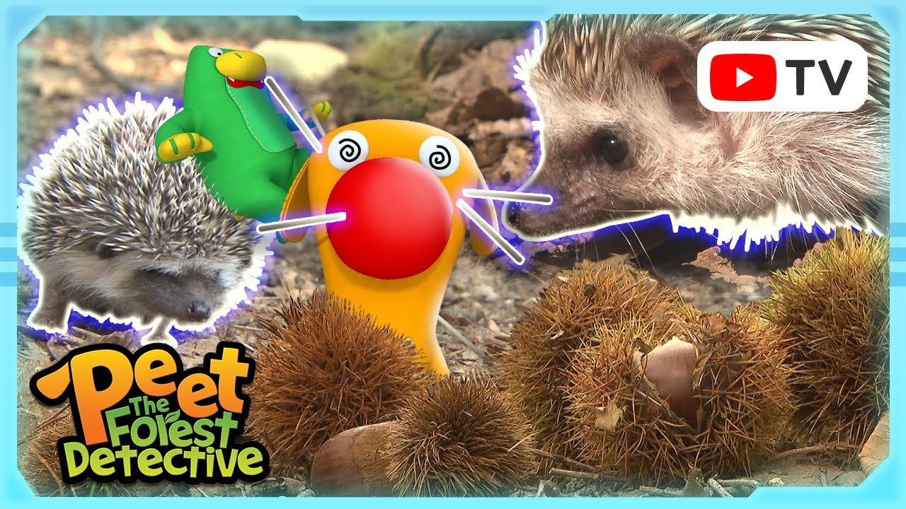 What is Inside the Rocks? 🕵️🐜 | Animal Stories For Kids | Peet The ...