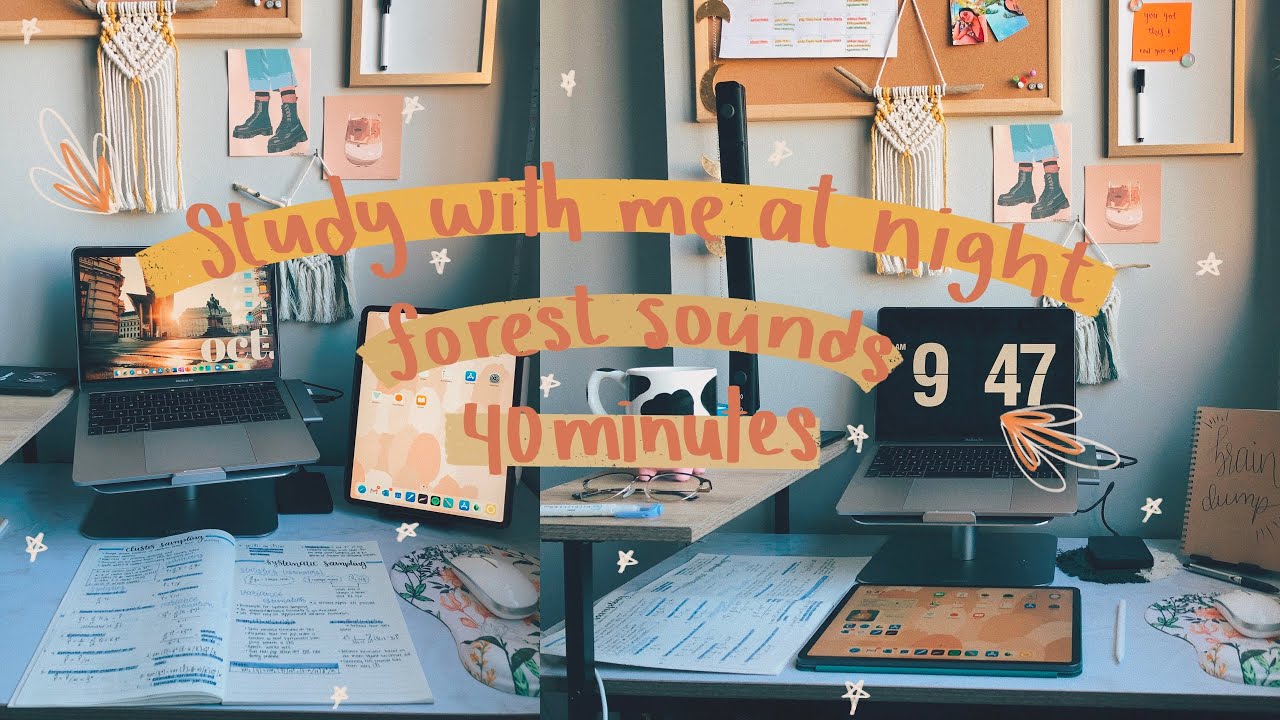 Study with Me at night // 40 minutes with Forest Sounds🌲🌒 - YouTube