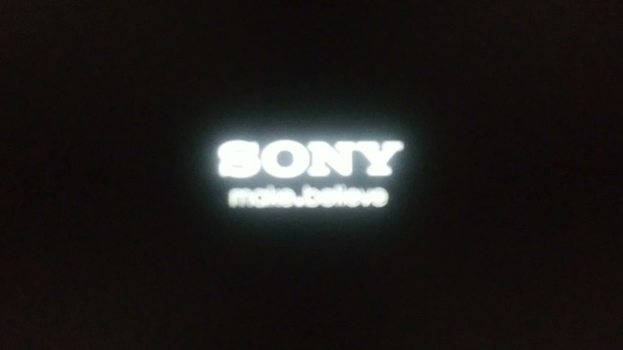 Sony / Columbia Pictures / Warner Bros. Pictures Distribution / 20th ...