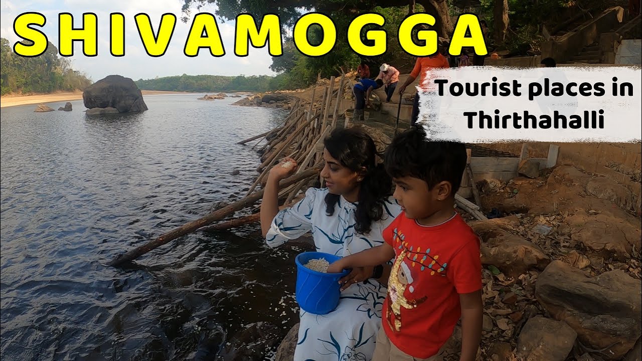 Tourist Places in Shivamogga | Chibbalagudde | Fish everywhere in Thirthahalli | Shimoga tourism ...