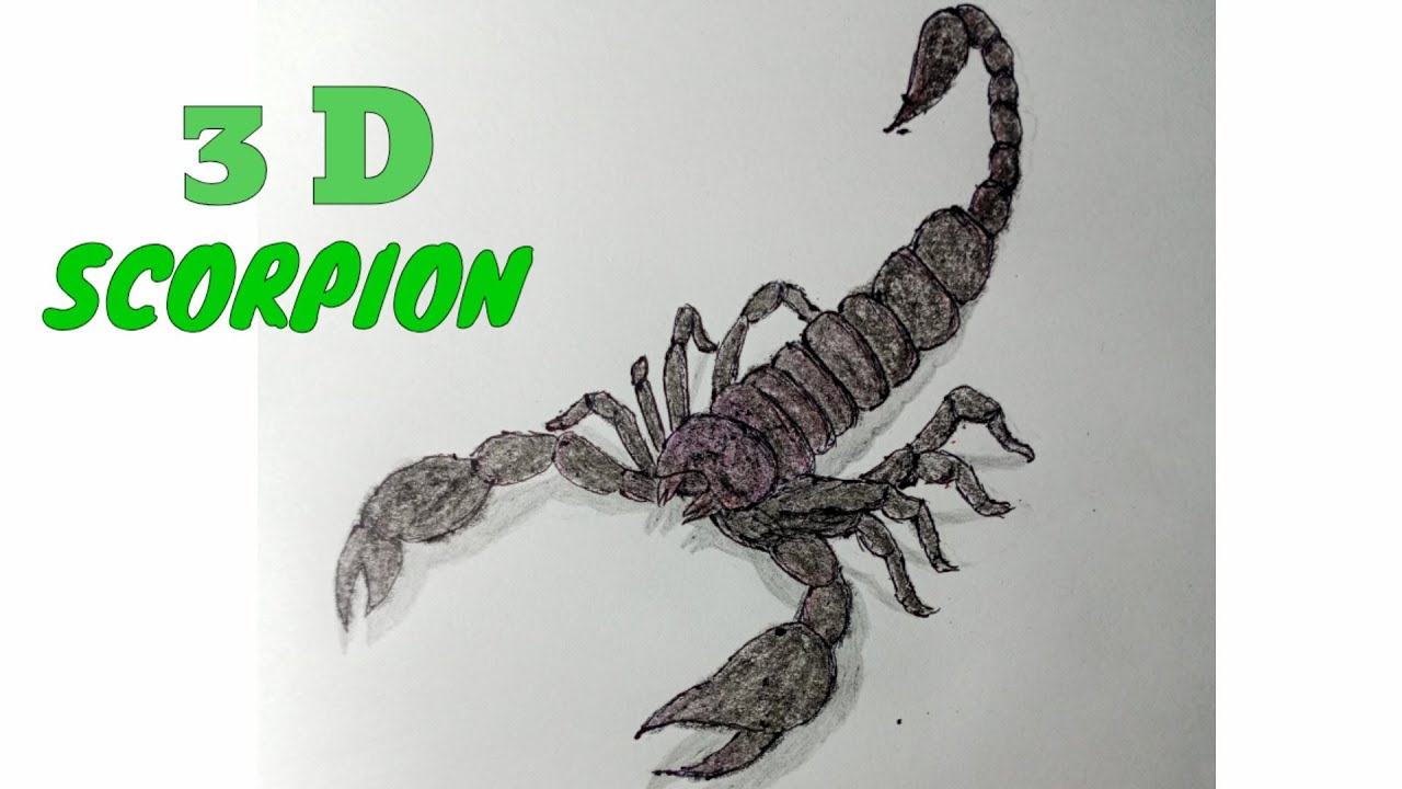 How to Draw a 3D Scorpion #kinimasterediting #oppoa31 - YouTube