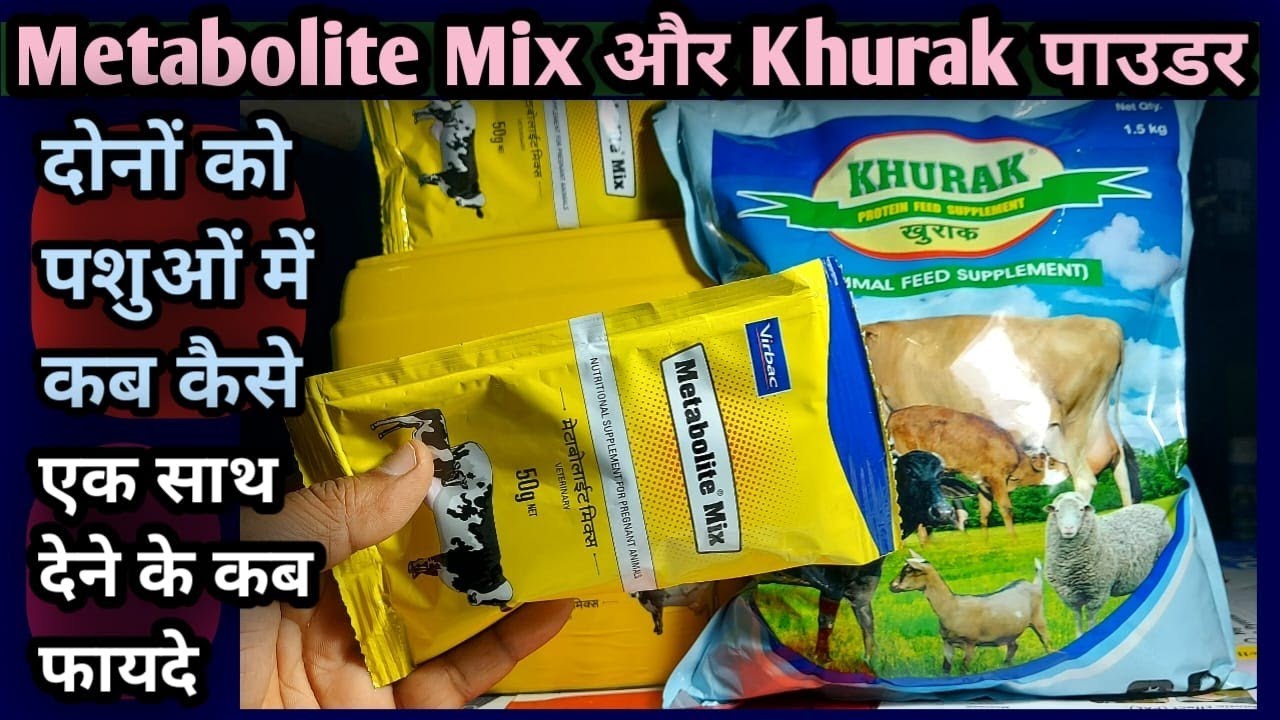 Metabolite Mix Powder और Khurak Protein Powder|| दोनों को एक साथ कब ...