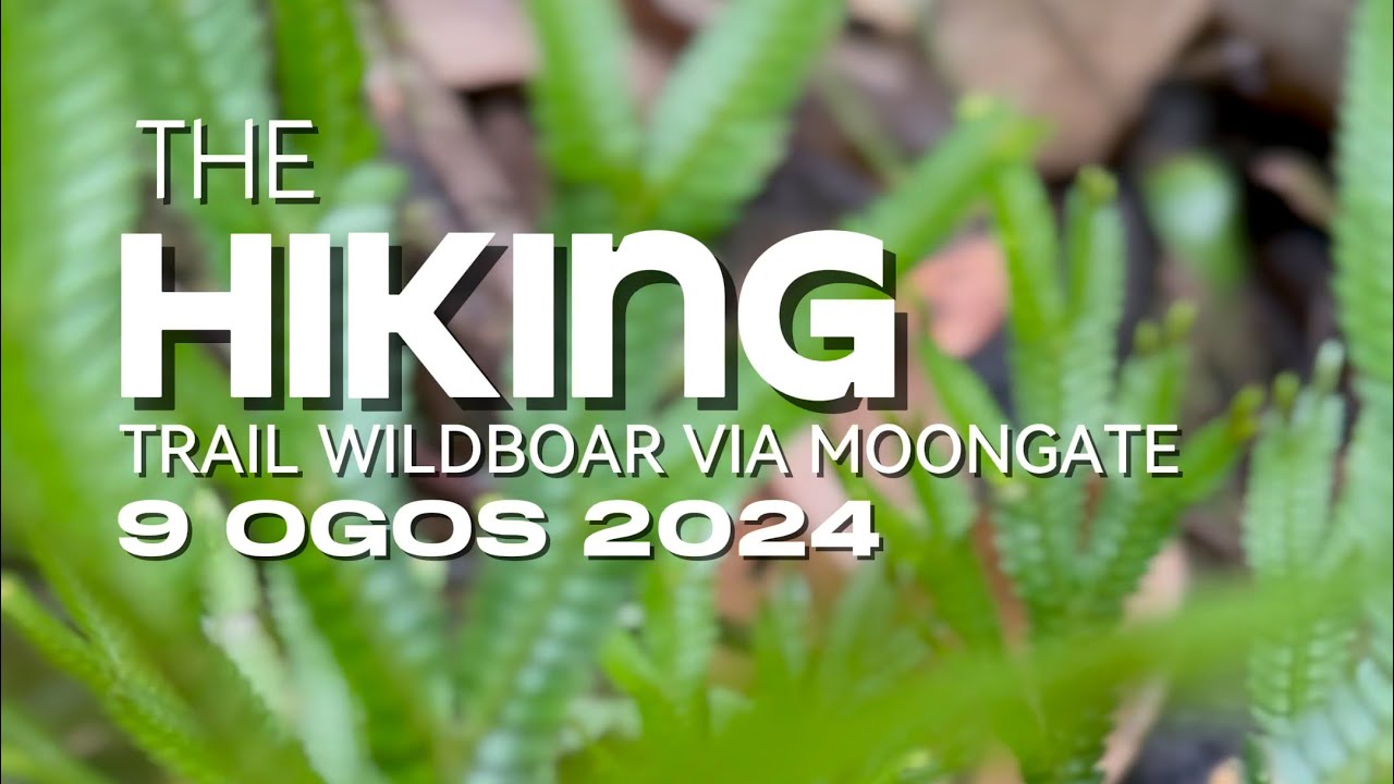 HIKING TRAIL WILDBOAR VIA MOONGATE PENANG HILL - YouTube