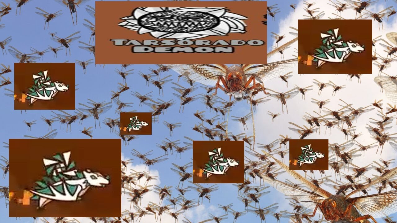 Swarm 100% (Insane demon) by IUseFakeWeights - Geometry Dash - YouTube