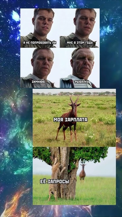 #memes #mem #мемы #мем - YouTube