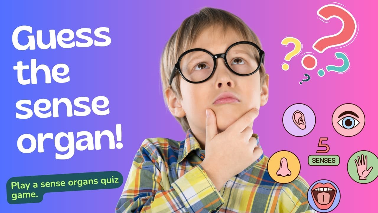 🏆 Score 05/05? Take This Sense Organs Quiz & Find Out! - YouTube