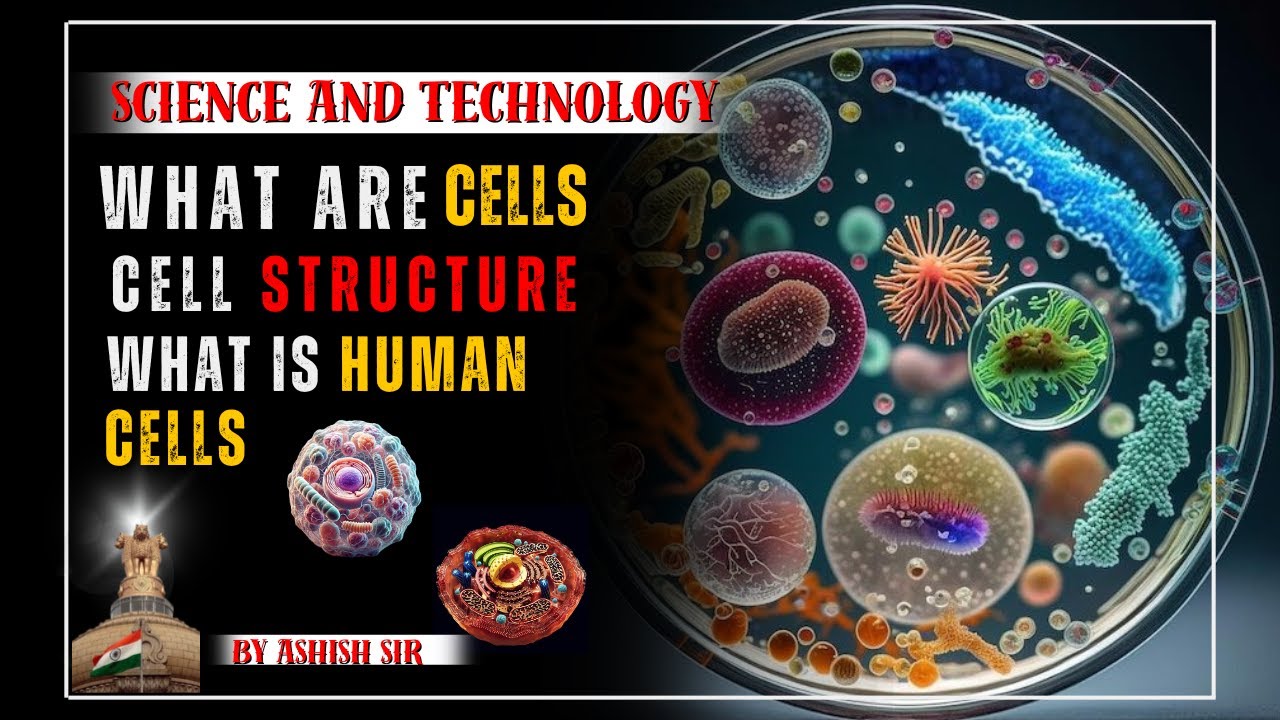 WHAT IS CELL | Cell Structure |what is human cells | science and ...