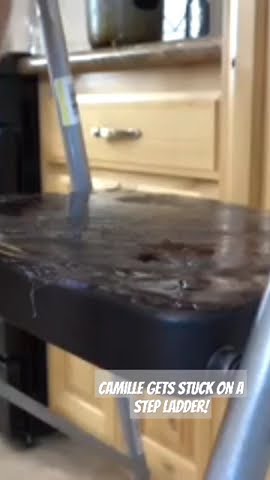 Camille gets stuck on a Step Ladder! - YouTube