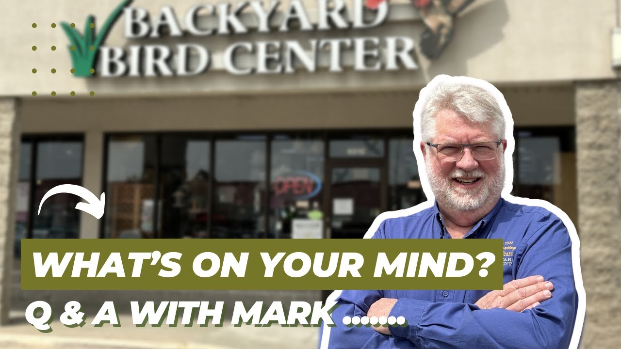 Questions and Answers With Mark: Open Topic - YouTube