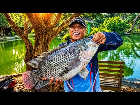 UNTUNG SAJA TEREKAM‼️STRIKE IKAN NILA BABON BIKIN HEBOH SEMUA PEMANCING || mancing ikan nila babon
