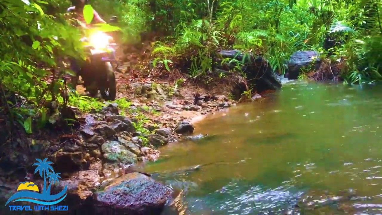 Kottawa Rainforest & Natural Swimming Pool - YouTube