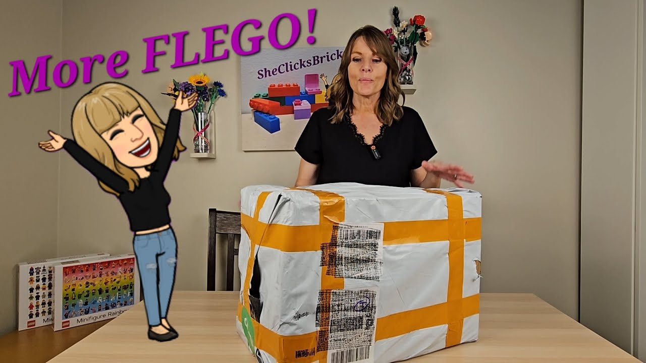 A Box of LEGO Knockoffs: Our Alternative Brick Plunder - YouTube