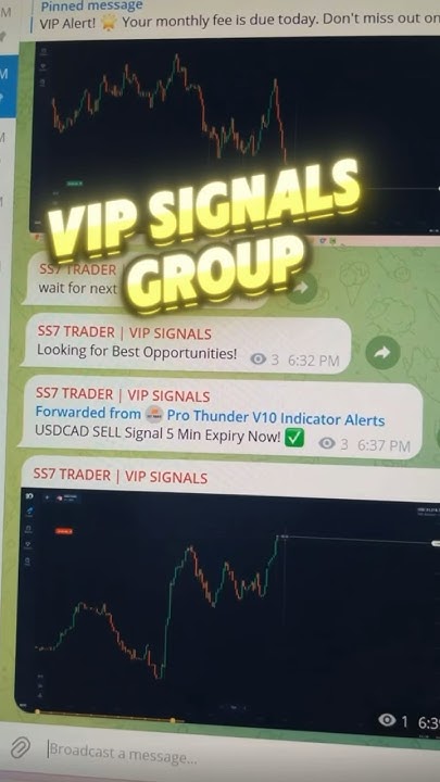 Is this the holy grail of binary trading? SS7 Trader's VIP group might be! #trading #vip # ...