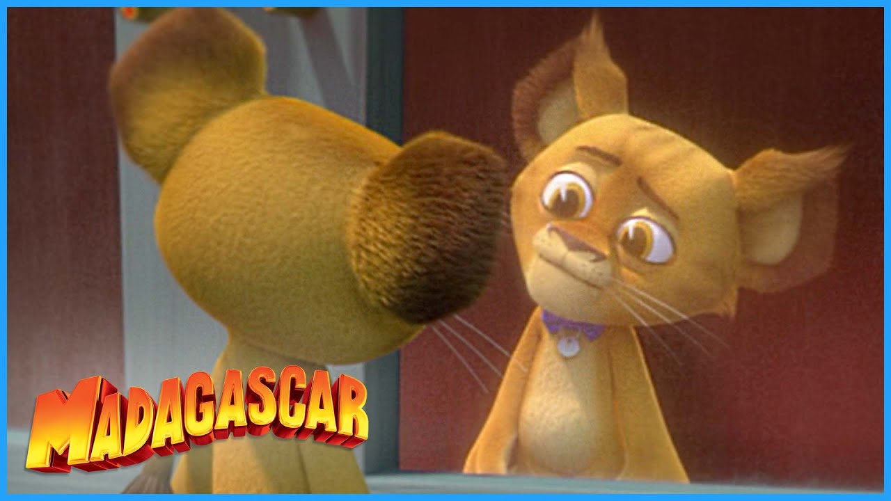 Alex has a clone? | DreamWorks Madagascar - YouTube